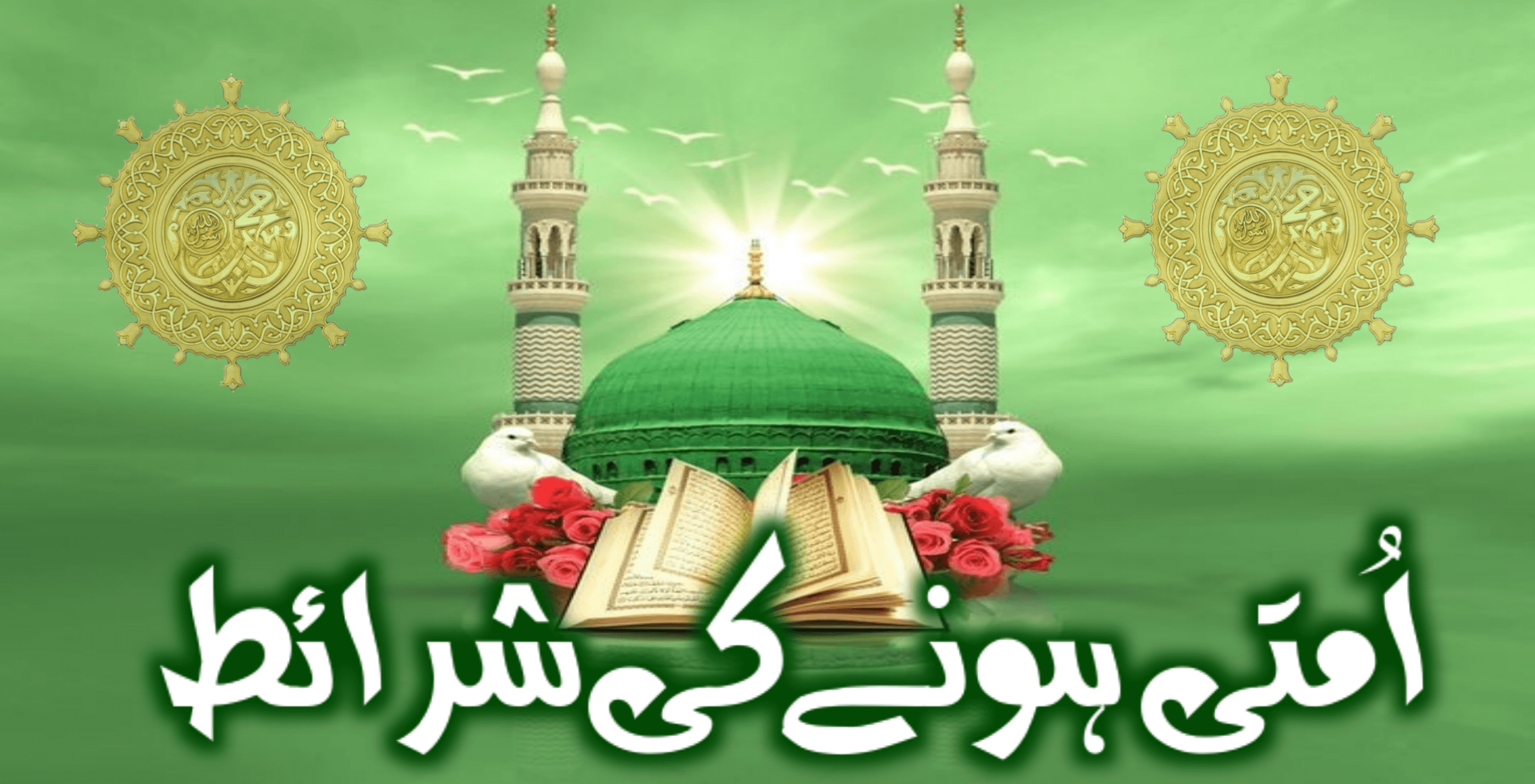 اُمتی ہونے کی شرائط Ummati Hoony ki Sharayet - ماہنامہ سلطان الفقر ...